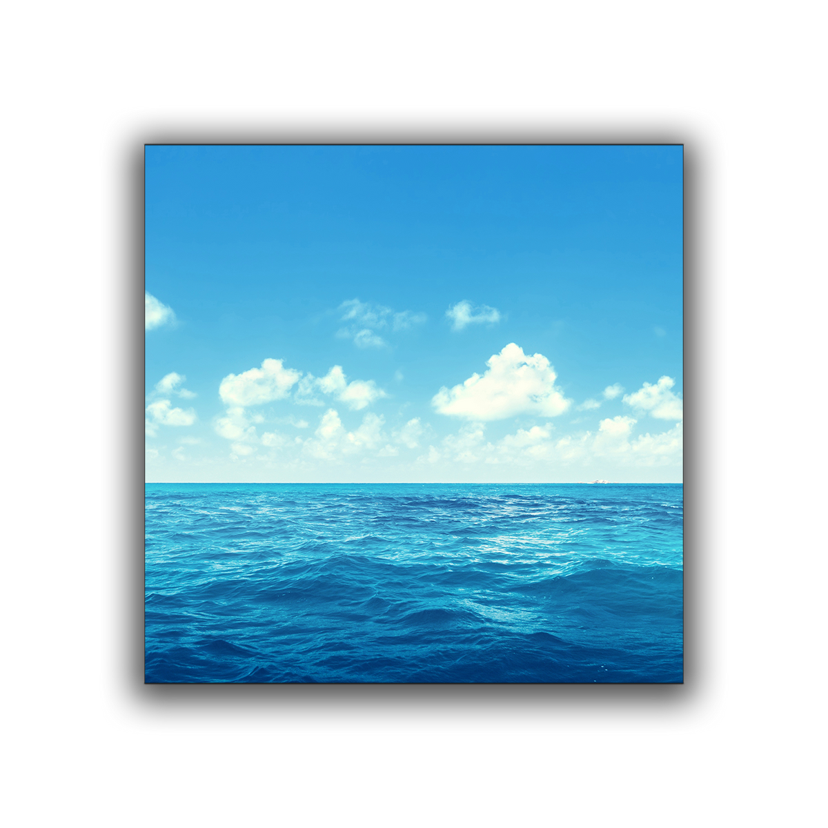 Homepage [canvaspalette.com]